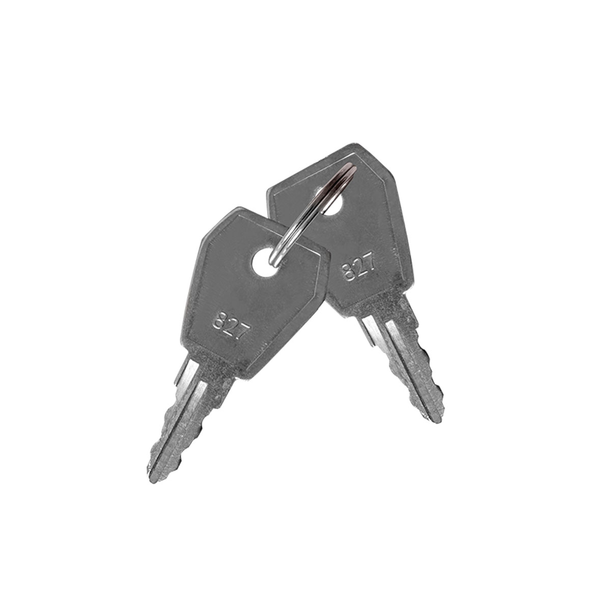 ESP | MAGISORPK | Fire Isolator Replacement Key's 2Pk | Superlec Direct